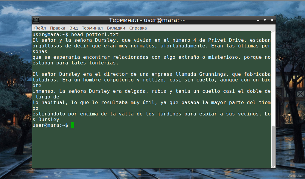 Команда head linux | KOVALETS